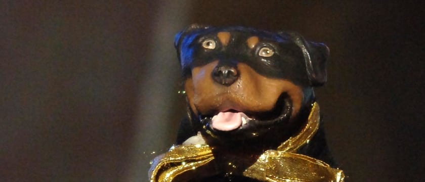 Triumph The Insult Comic Dog Tickets | Vivid Seats