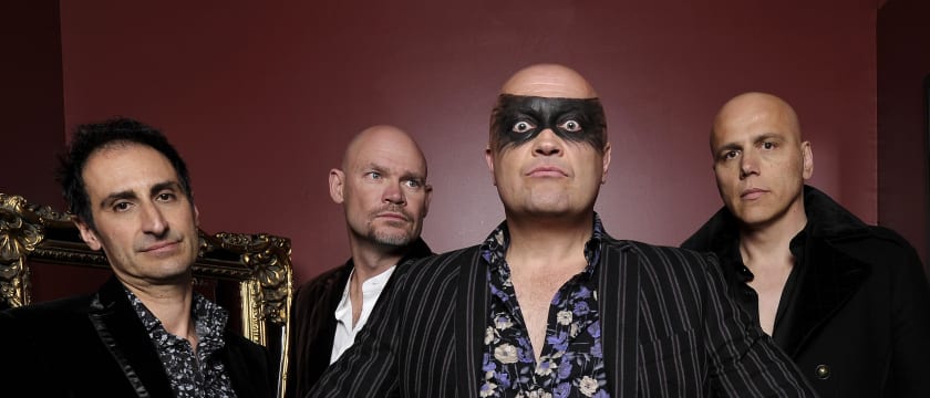 Chocolate Starfish Tickets | Vivid Seats