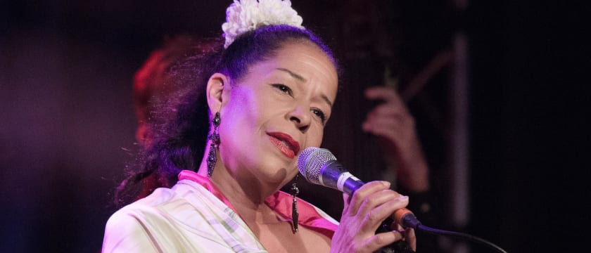 Molly Johnson Tickets | Vivid Seats